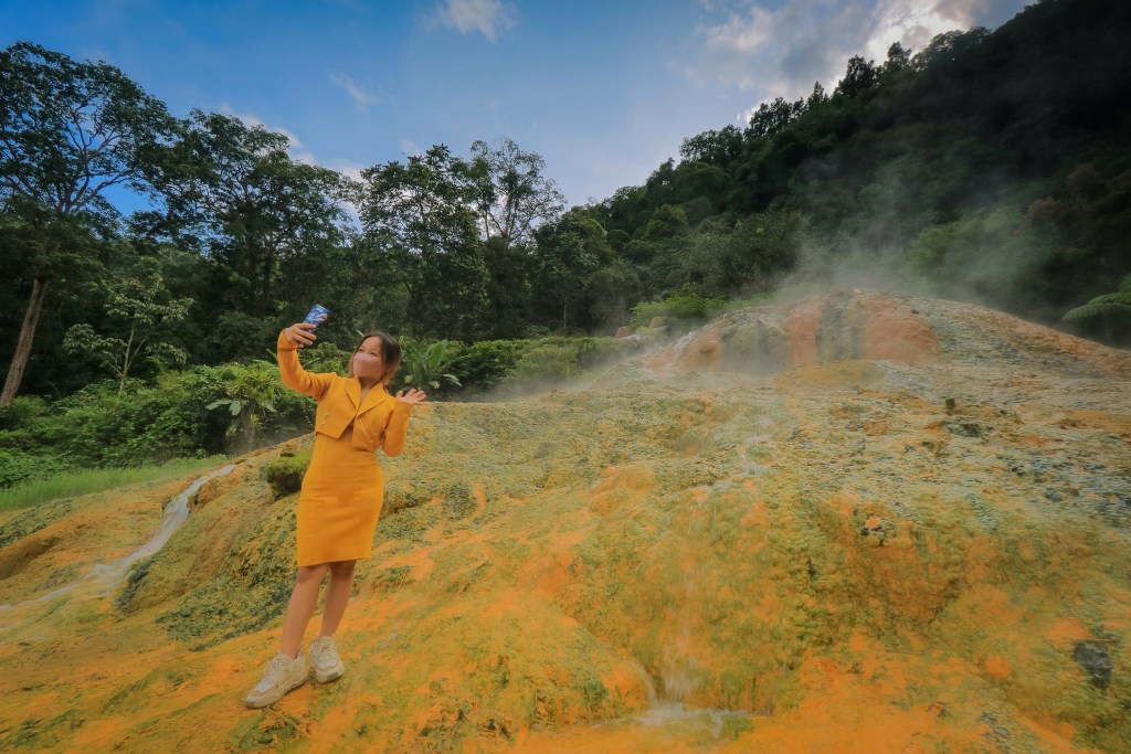 Econique PT Perhutani Alam Wisata Risorsis – Econique PT Perhutani Alam ...