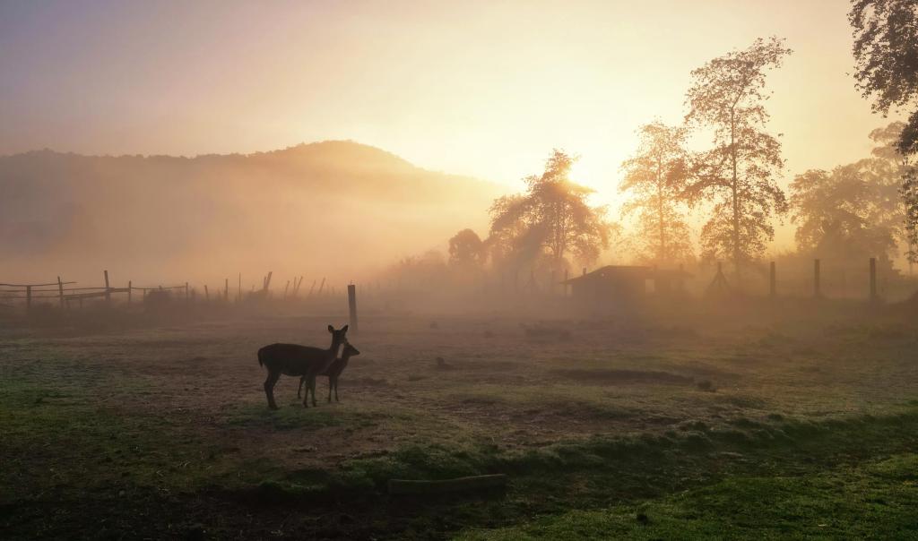 Econique Perhutani Alam Wisata – Econique Perhutani Alam Wisata (PT ...