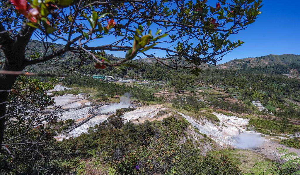 Econique PT Perhutani Alam Wisata Risorsis – Econique PT Perhutani Alam ...