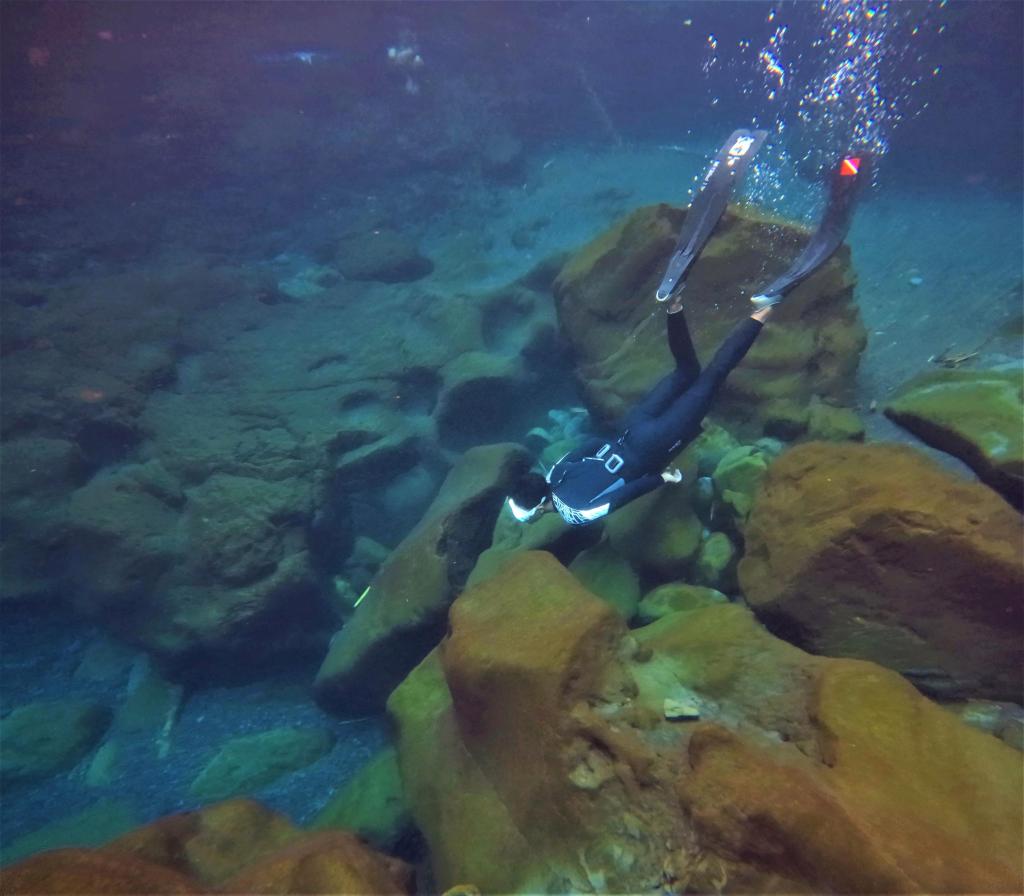 Econique PT Perhutani Alam Wisata Risorsis – Econique PT Perhutani Alam ...